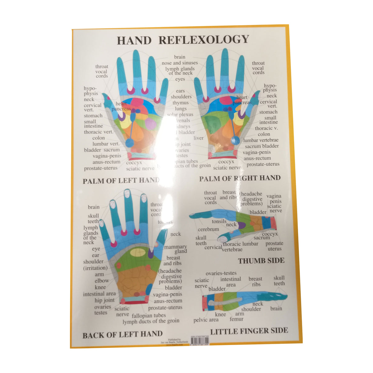 Hand Reflexology – WendyCo